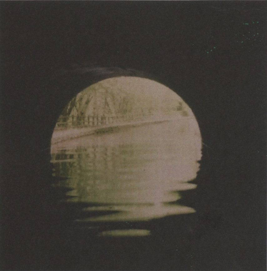 Artist Focus: Ella Barkhouse | The Badger
