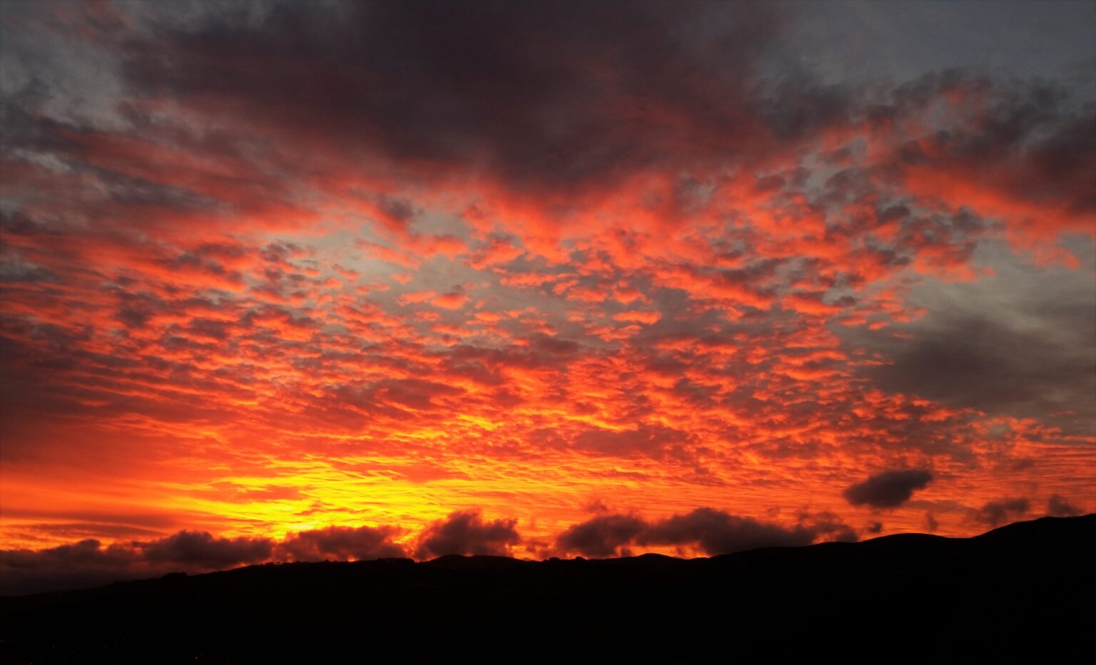 New Zealand tsunami scare raised after earthquake shock | The Badger